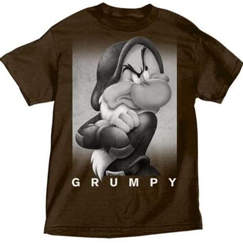 Image result for Disney World Grumpy