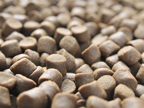 Image result for Feed Pellet Making Machine