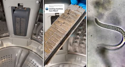 Image result for Fish Smell Inside Washing Machine