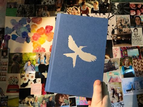 Image result for Hunger Games Mockingjay Book