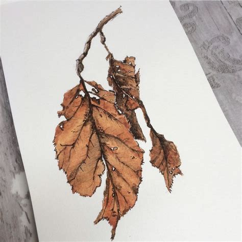 Image result for Watercolour Autumn Tutorials UK