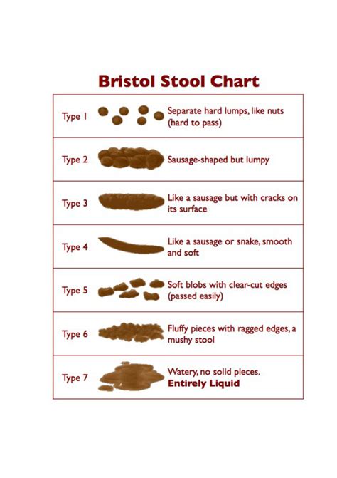 Image result for Yellow Stool Poop