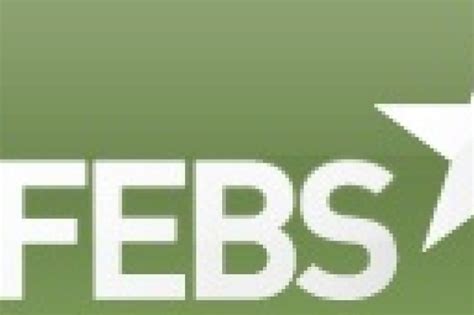 Image result for Data Entry Screen GFEBS