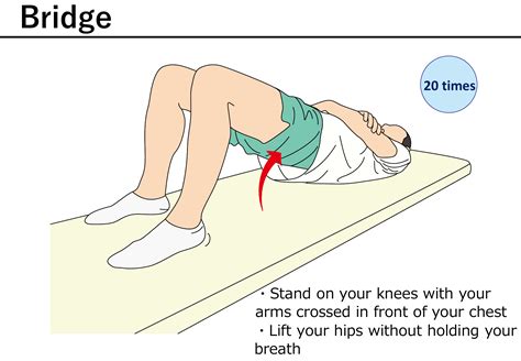 Image result for Trunk Bender Exercise