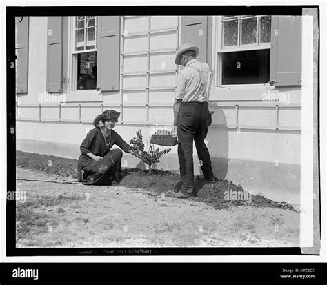 Image result for Small-Scale Model of Buildings