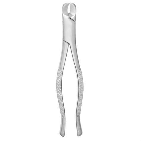 Image result for Extracting Forceps