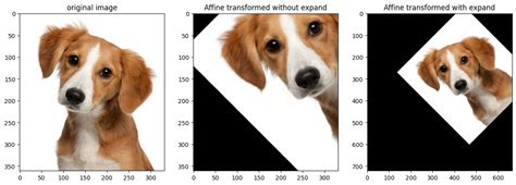 Image result for Grid Sample