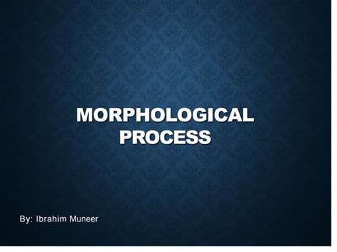 Image result for Morphological Design Process