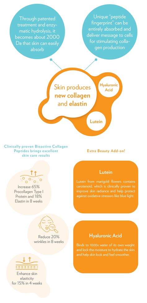 Image result for Collagen Function