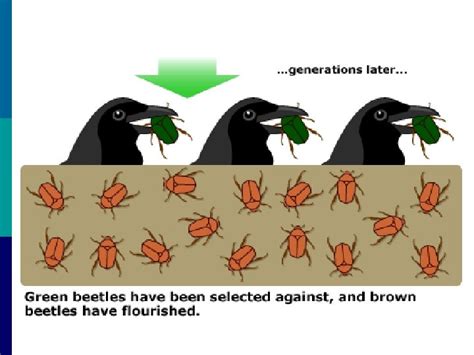 Image result for Variation Means