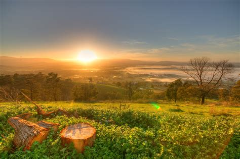 Image result for Parallax Scrolling Simple Animation