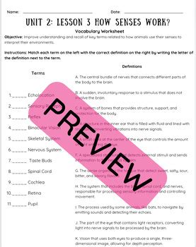 Image result for 4 Class Science Lesson 2