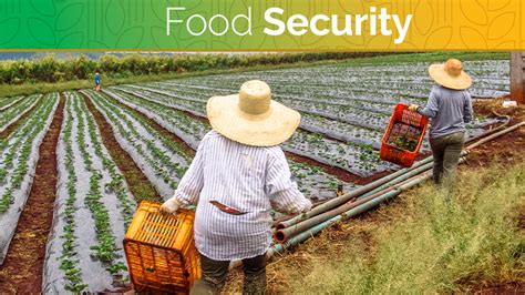 Image result for Food Security Working Model