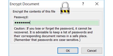 Image result for Encrypt Word File with Password