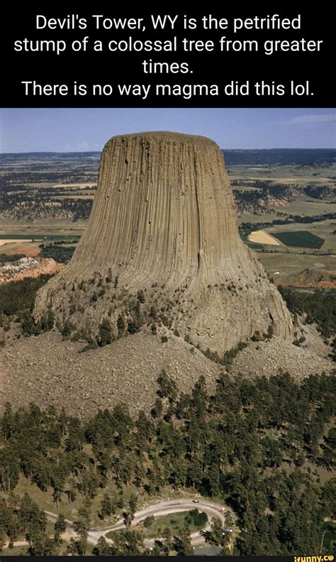 Image result for Devils Tower Tree Stump