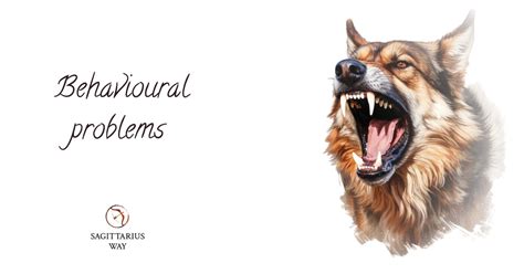 Image result for Behavioural Problems