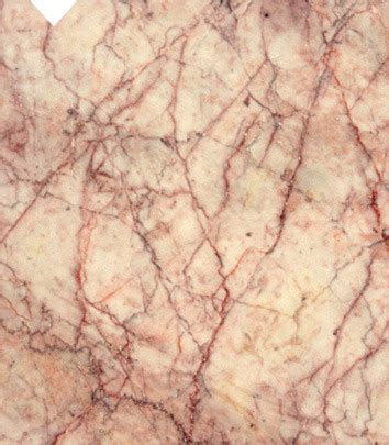 Image result for Alborada Perla