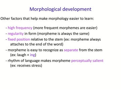 Image result for Morphological System Examples
