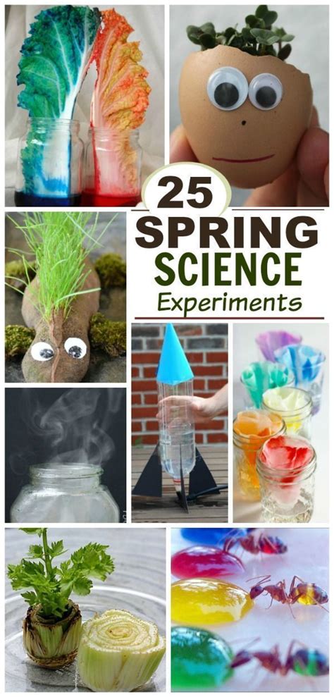 Image result for Spring Experiment
