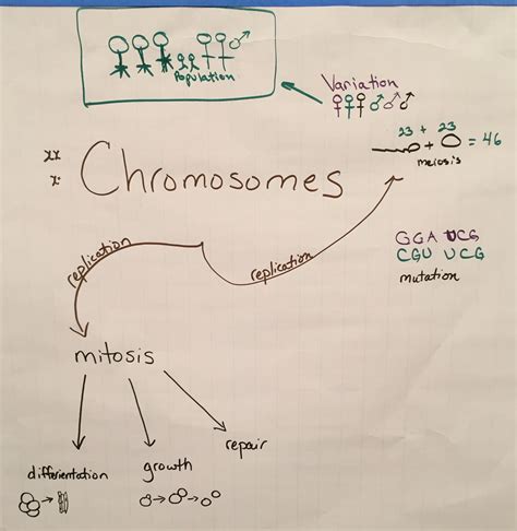 Image result for Inherited Variation