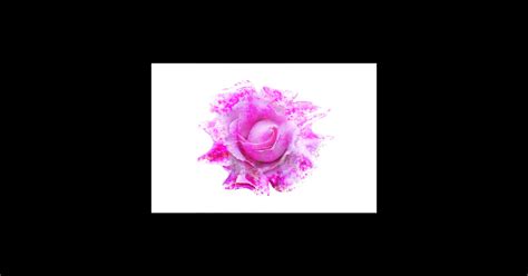 Image result for Pink Splatter Effect