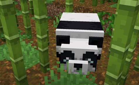 Image result for Minecraft Panda