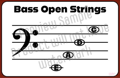 Image result for Notes On a 5 String Bass