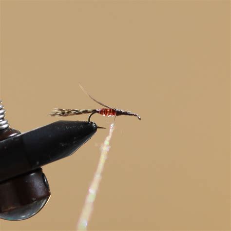 Image result for Fly Tying Using Body Quill