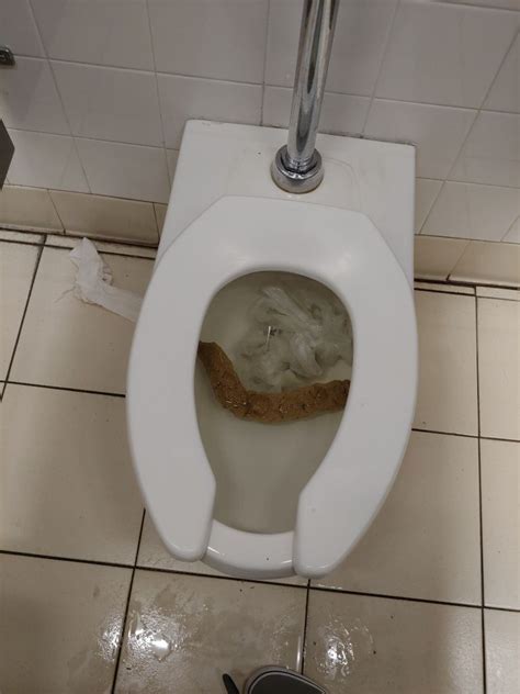 Image result for Clogged Poop