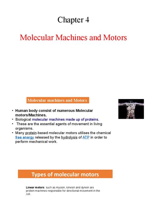 Image result for Molecular Machine