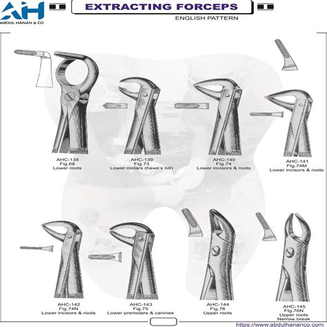 Image result for Extracting Forceps