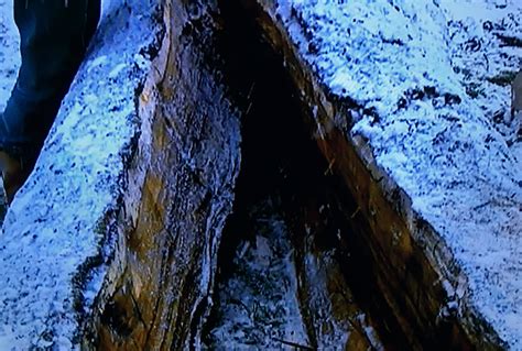 Image result for Methods to Split Large Logs