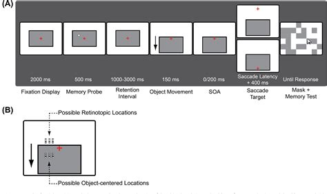 Image result for What Is Visual Spatial Memory