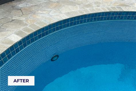 Image result for Pool Tile Repair Service