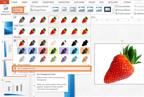 Image result for Set Transparent Color PowerPoint