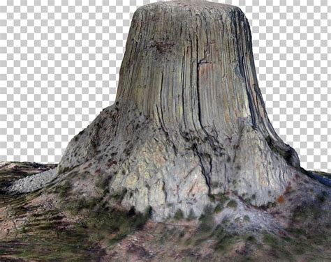 Image result for Devils Tower Tree Stump