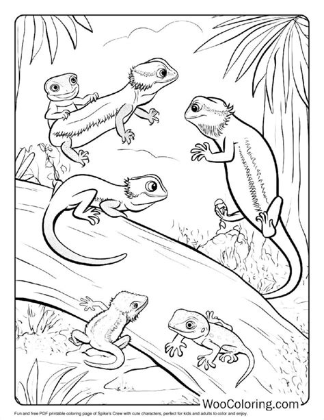 Image result for Timberjack Dragon Coloring