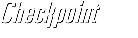 Image result for Checkpoint Systems Logo