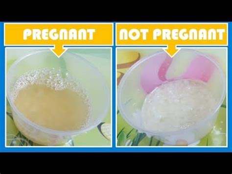 Image result for Pregnancy Test Using Salt Images