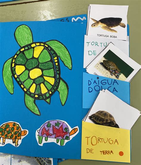 Image result for Turtle Life Cycle Free Printable