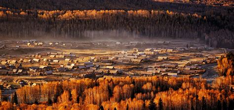 Image result for Alar Guide