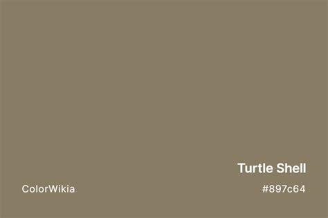 Image result for Turtle Shell Color
