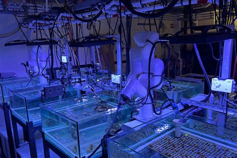 Image result for First Robotics Reefscape Corals