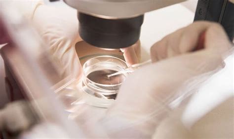 Image result for Embryo Transfer Technology