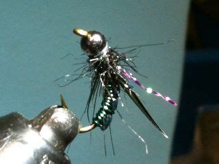 Image result for Floating Nymph Fly Pattern