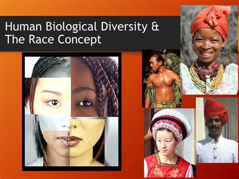 Image result for Human Variation