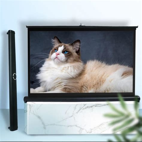 Image result for Mini Projector Screen