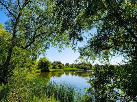 Image result for Note 2.0 Ultra 5G