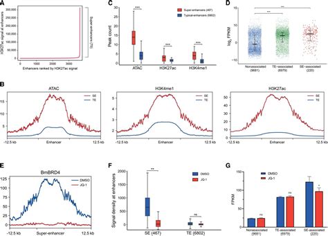 Image result for Super-Enhancer