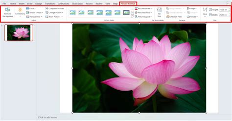 Image result for Set Transparent Color Tool PowerPoint